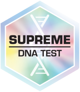 Premium DNA Test - Supergenix